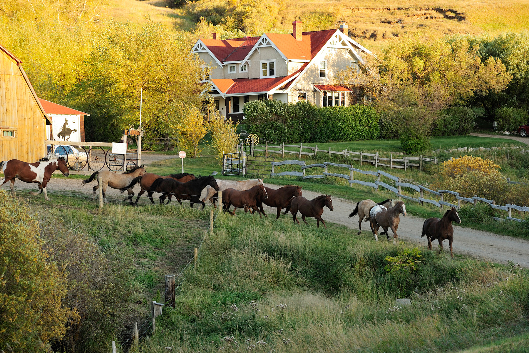 Kanadafieber – Die Kanada Spezialisten | Reesor Ranch